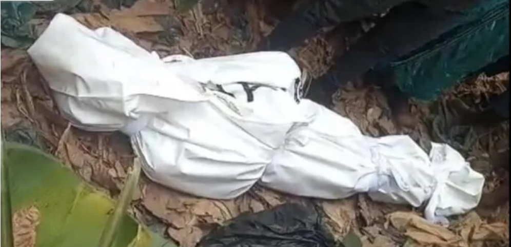 Fourth Mysterious Death in a Week: Woman's Body Found.